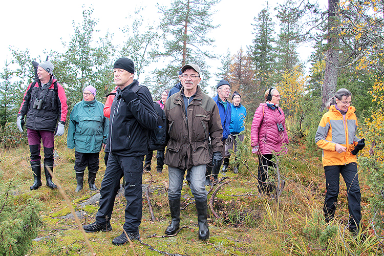 Vaarojensanomat: Uutinen